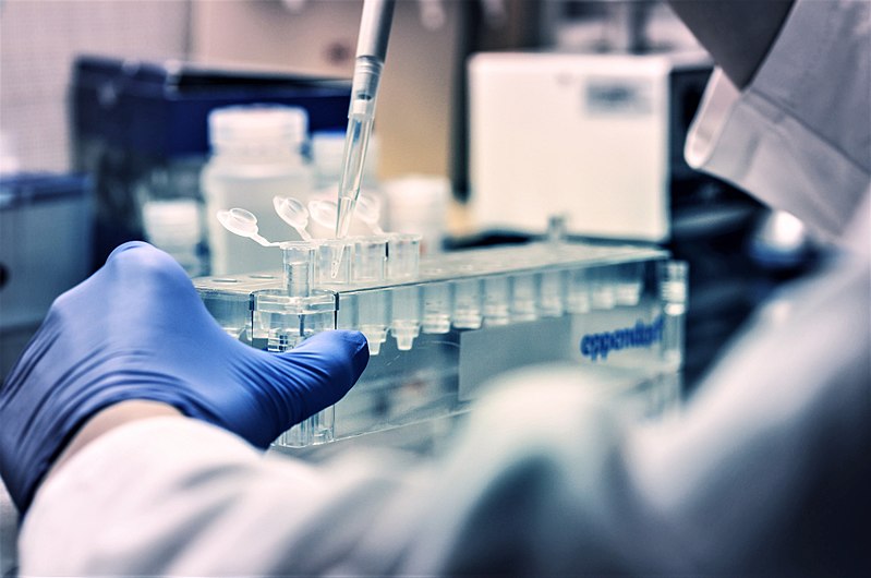 Oncolytic Virus Therapy A New Way To Treat Cancer BIOL312 UNBC Molecular Cell Physiology