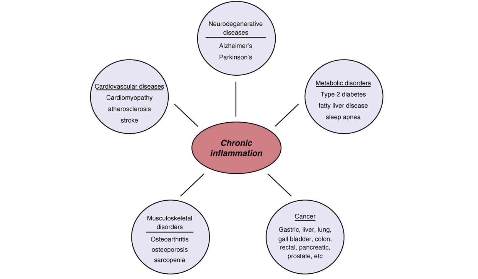 Inflammaging: The Disease of the Elderly – BIOL312 @UNBC – Molecular ...